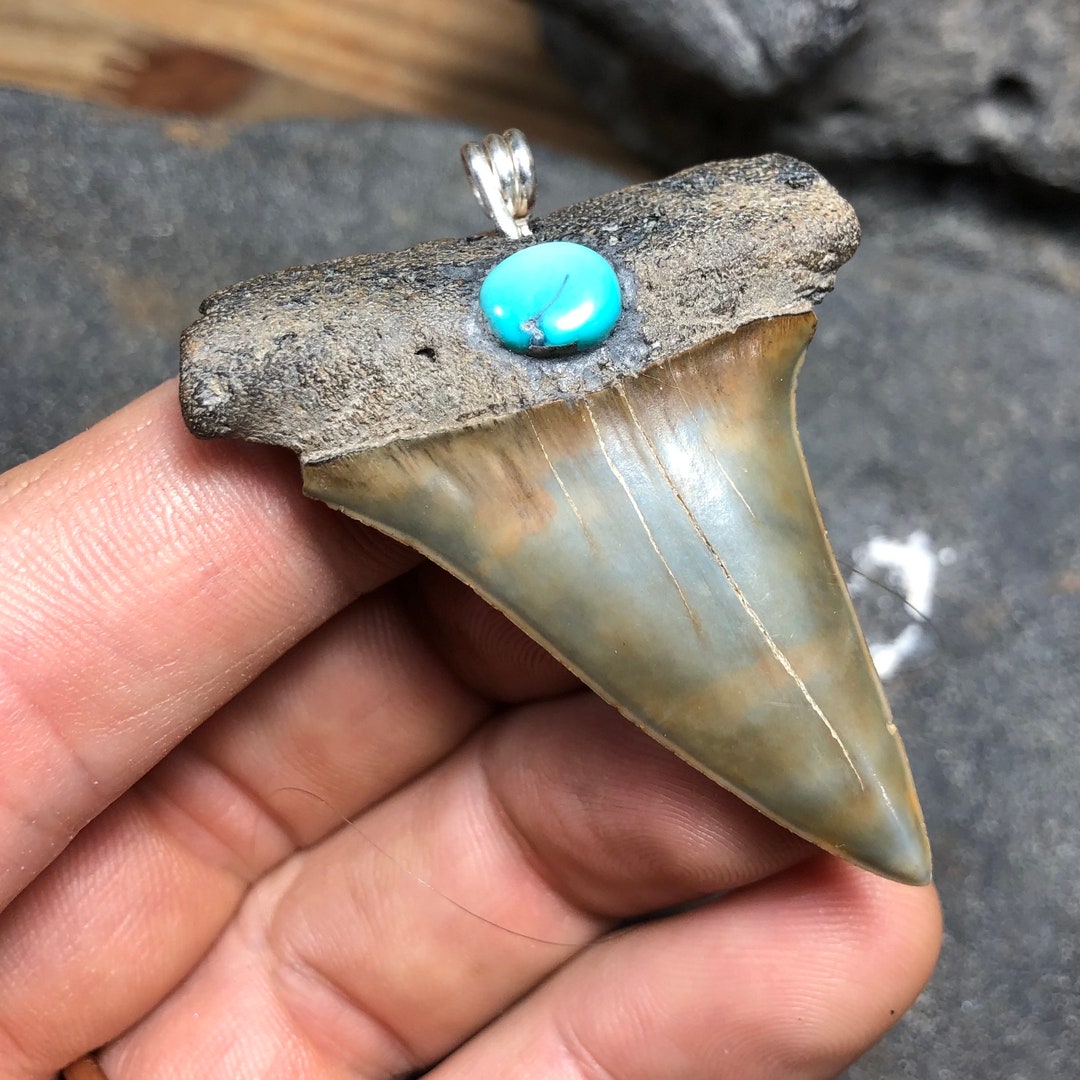 Sterling Silver Mako Shark TOOTH Pendant, Raw Turquoise Inlay, 2 & 3/16 ...