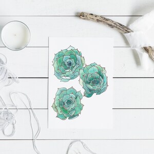 Succulent Watercolor Greeting Cards, Box Set of 3 - Etsy