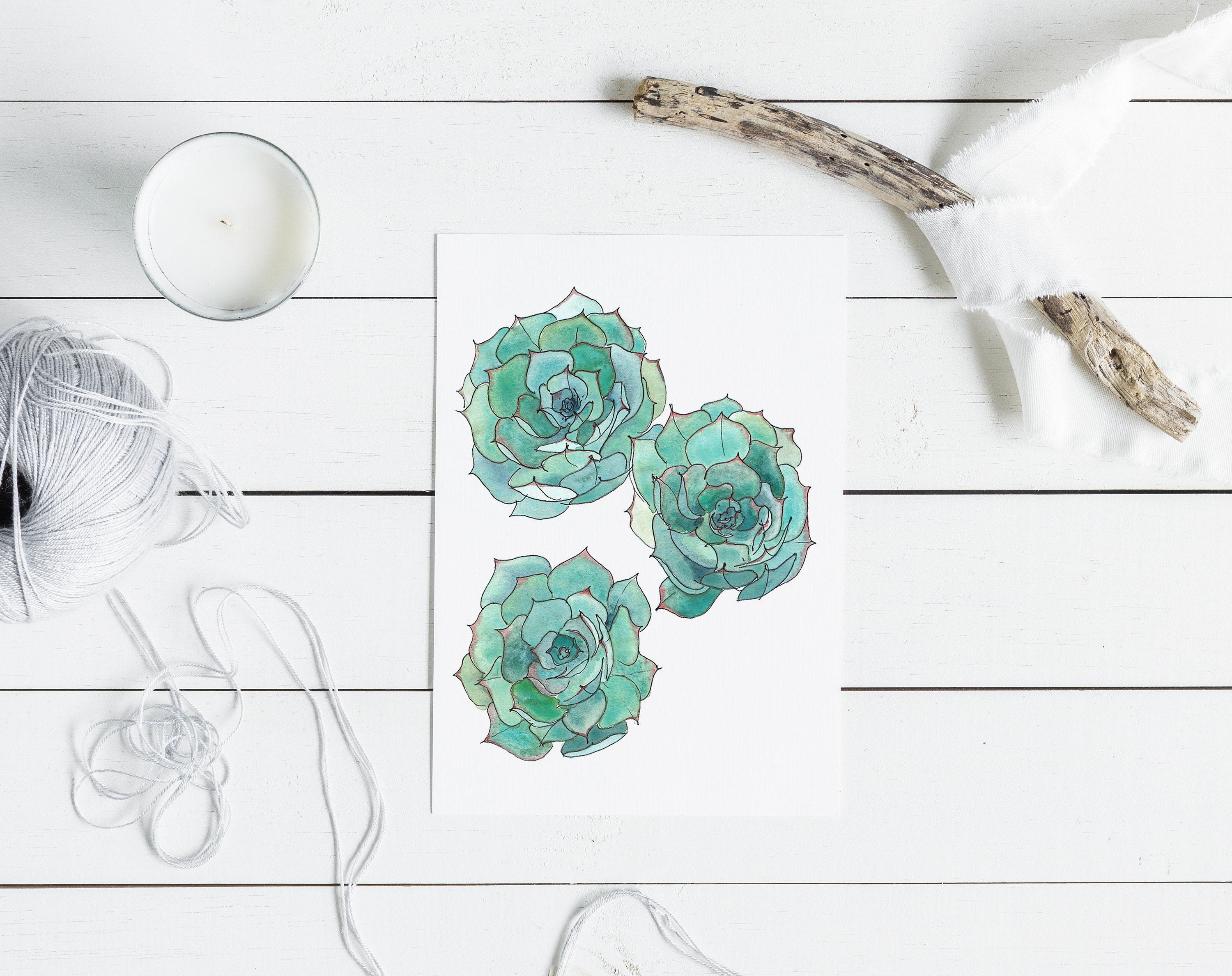 Succulent Watercolor Greeting Cards Box Set Variety Pack / Watercolor ...