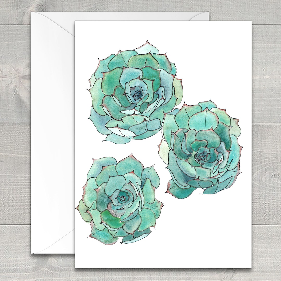 Succulent Watercolor Greeting Cards Box Set Variety Pack / Watercolor ...