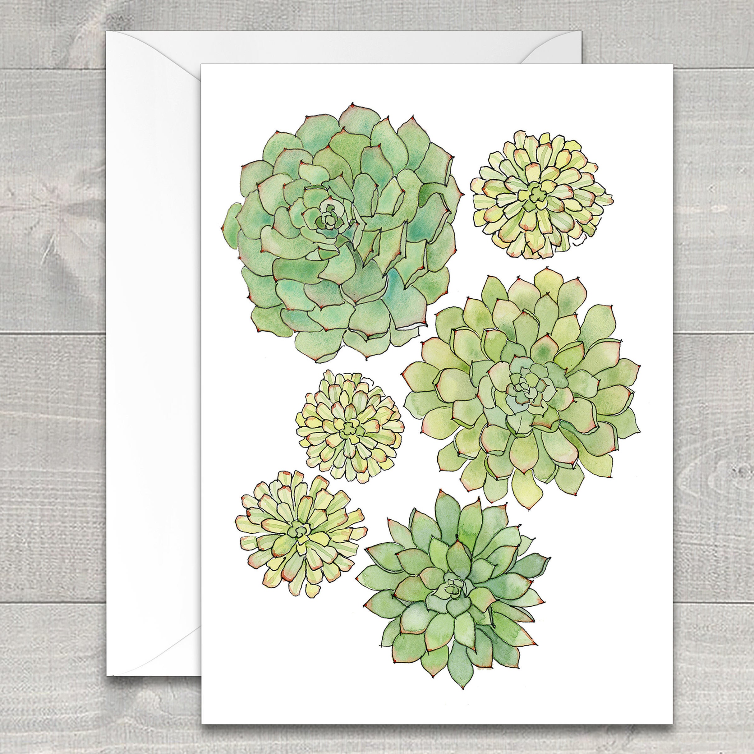 Succulent Watercolor Greeting Cards Box Set Variety Pack / Watercolor ...