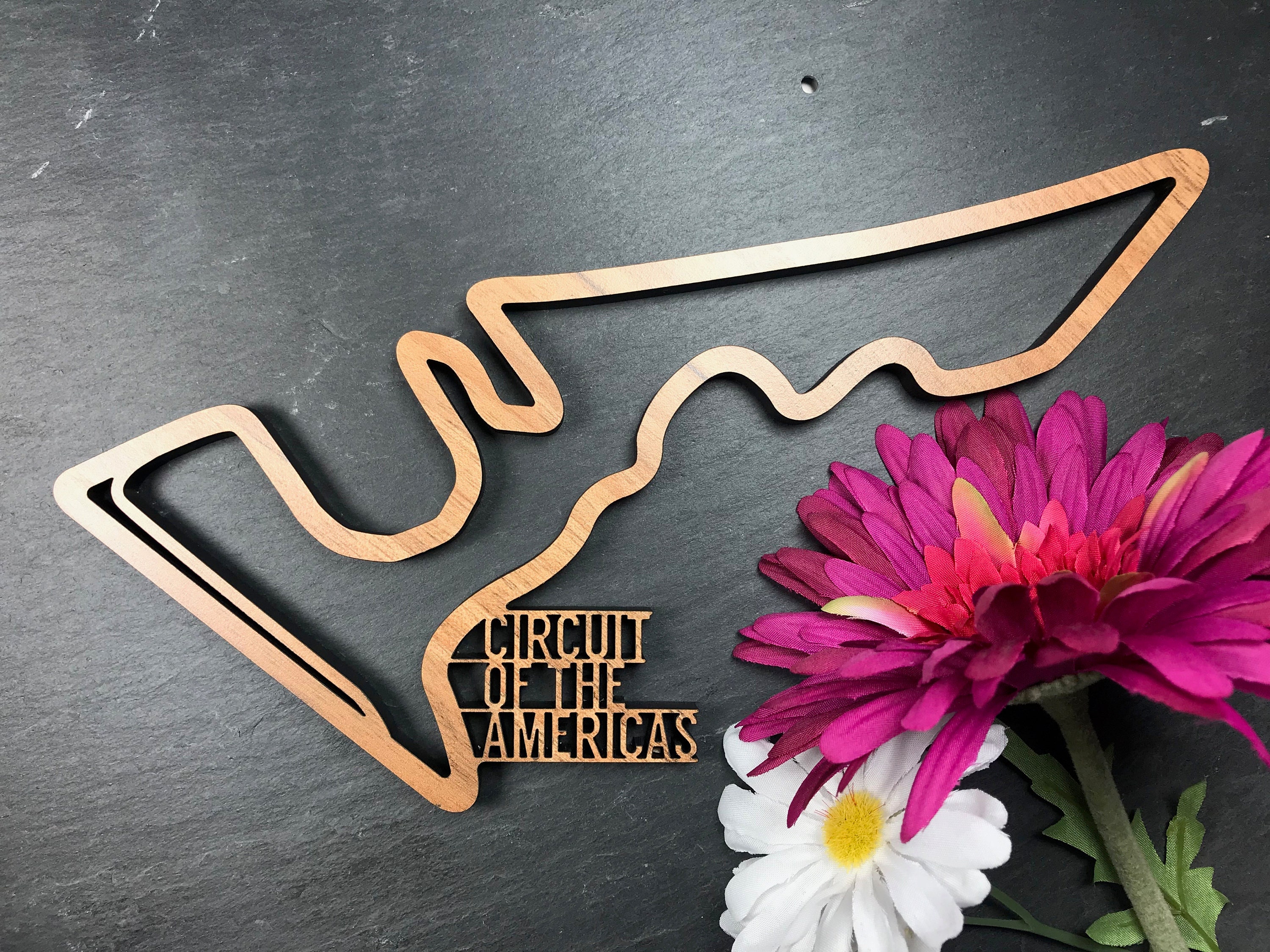 Circuit of the Americas Grand Prix Circuit - COTA F1 Indy Car Race ...