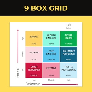 9 BOX Grid Excel Template for Talent Management - Etsy Canada