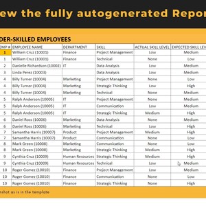 HR Skills Dashboard Google Sheet Template - Etsy