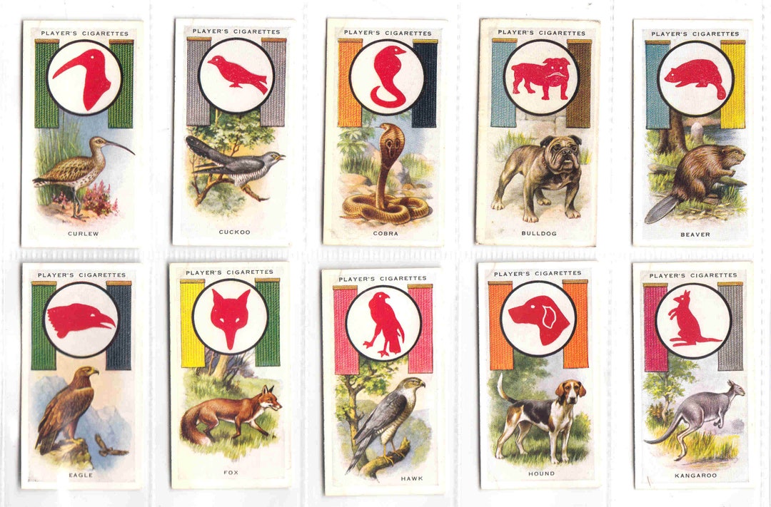 C1933 BOY SCOUT and Girl GUIDE Patrol Signs/emblems Complete Set of 50x ...