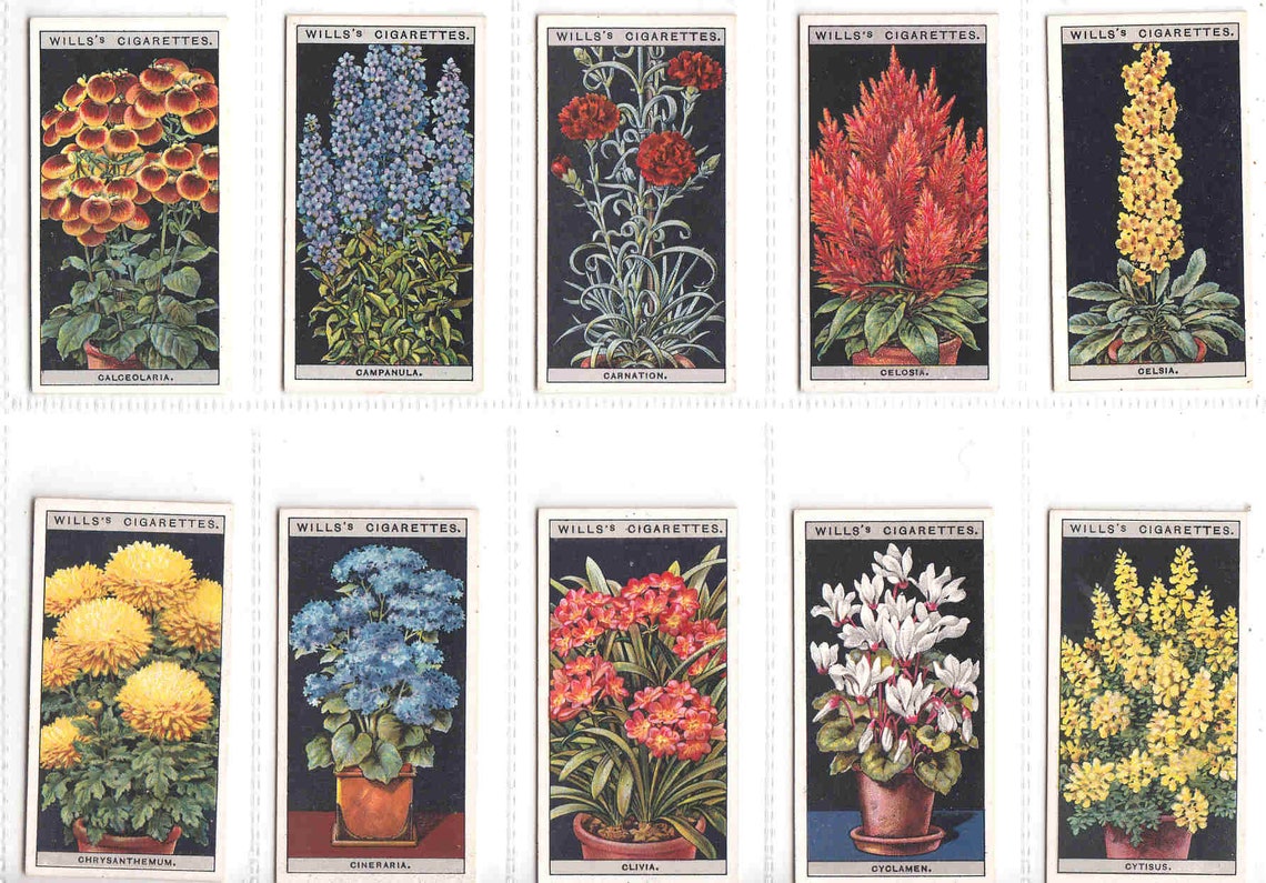 C1925 FLOWER CULTURE in Pots Complete Set of 50x ORIGINAL - Etsy