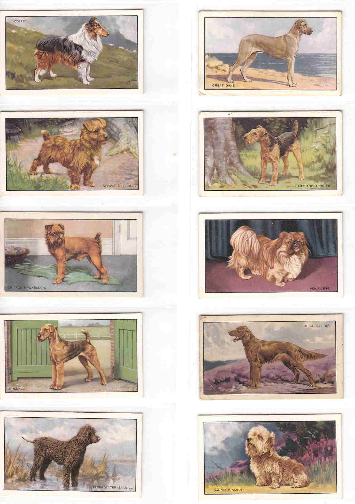 C1936 DOGS Complete Set of 48x ORIGINAL Cigarette / Tobacco | Etsy