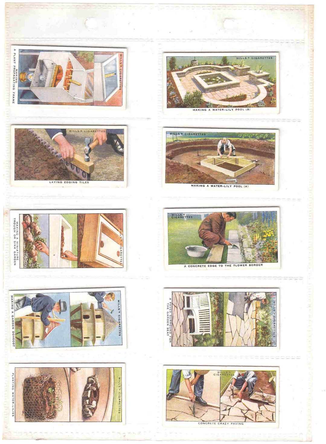 Original 1938 'garden Hints' Tobacco Cards - Complete Set - Etsy