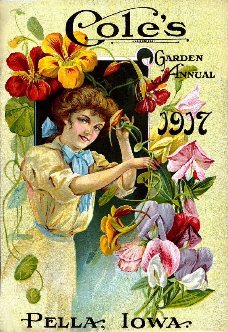 275x SEED CATALOGUE COVERS Restored Vintage Printable Images. Download ...