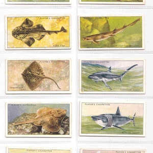 C1935 SEA FISHES Complete Set of 50 ORIGINAL Cigarette / Tobacco Cards ...