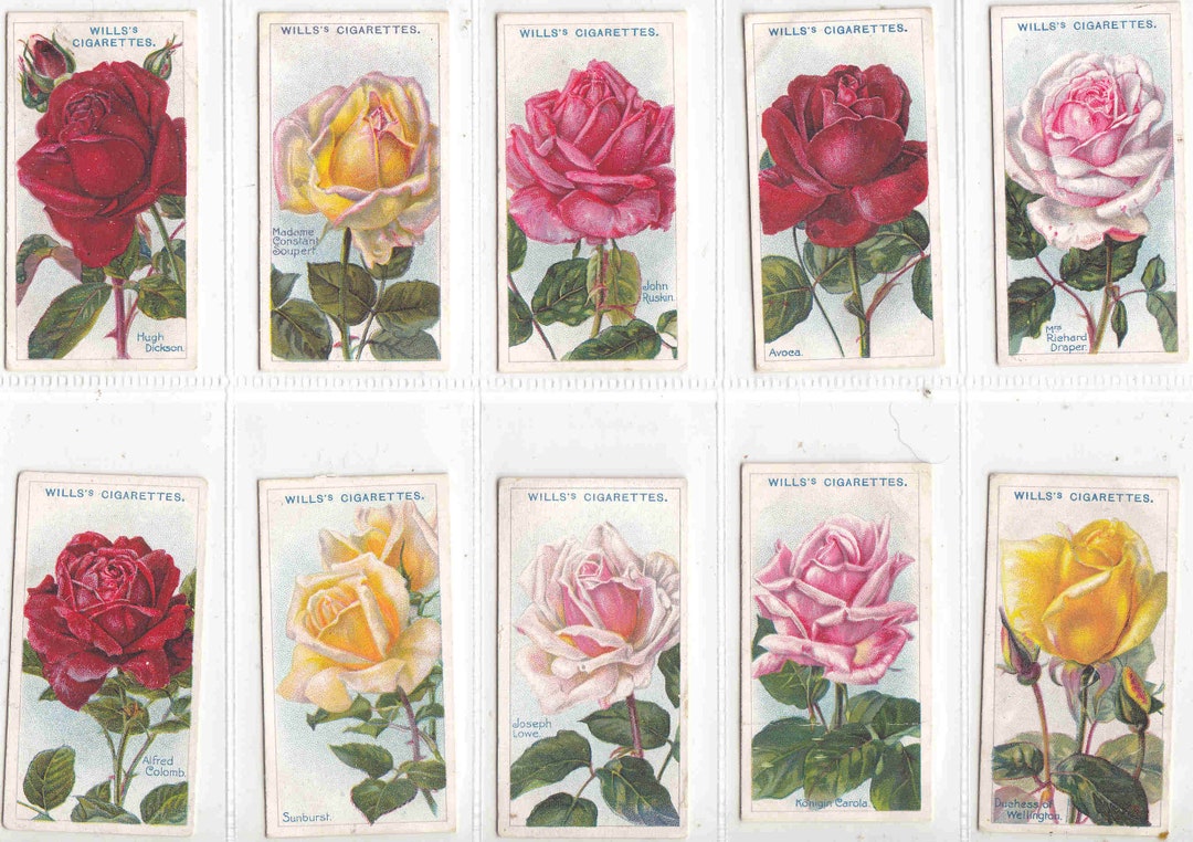 C1914 ROSES 2nd Series Complete SET of 50 X ORIGINAL Cigarette ...
