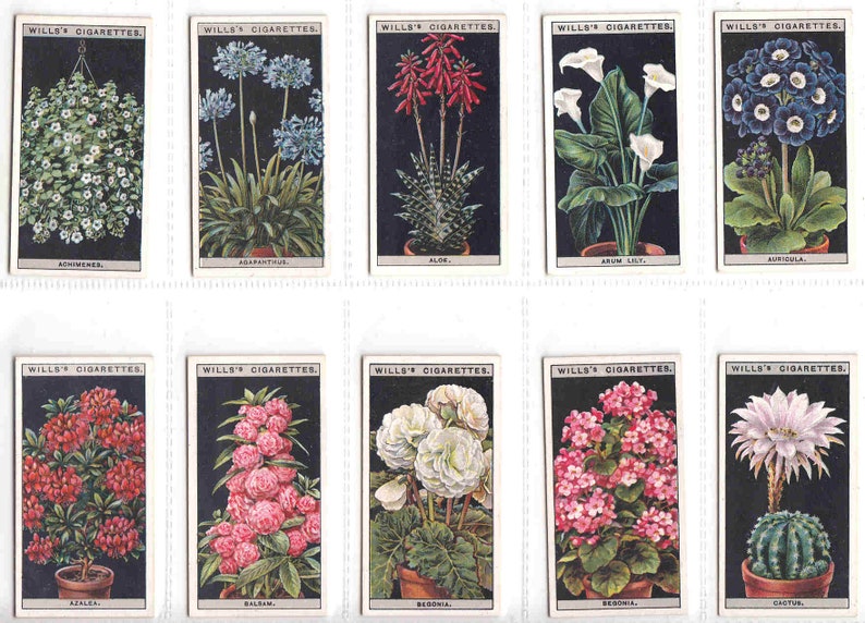 C1925 FLOWER CULTURE in Pots Complete Set of 50x ORIGINAL - Etsy