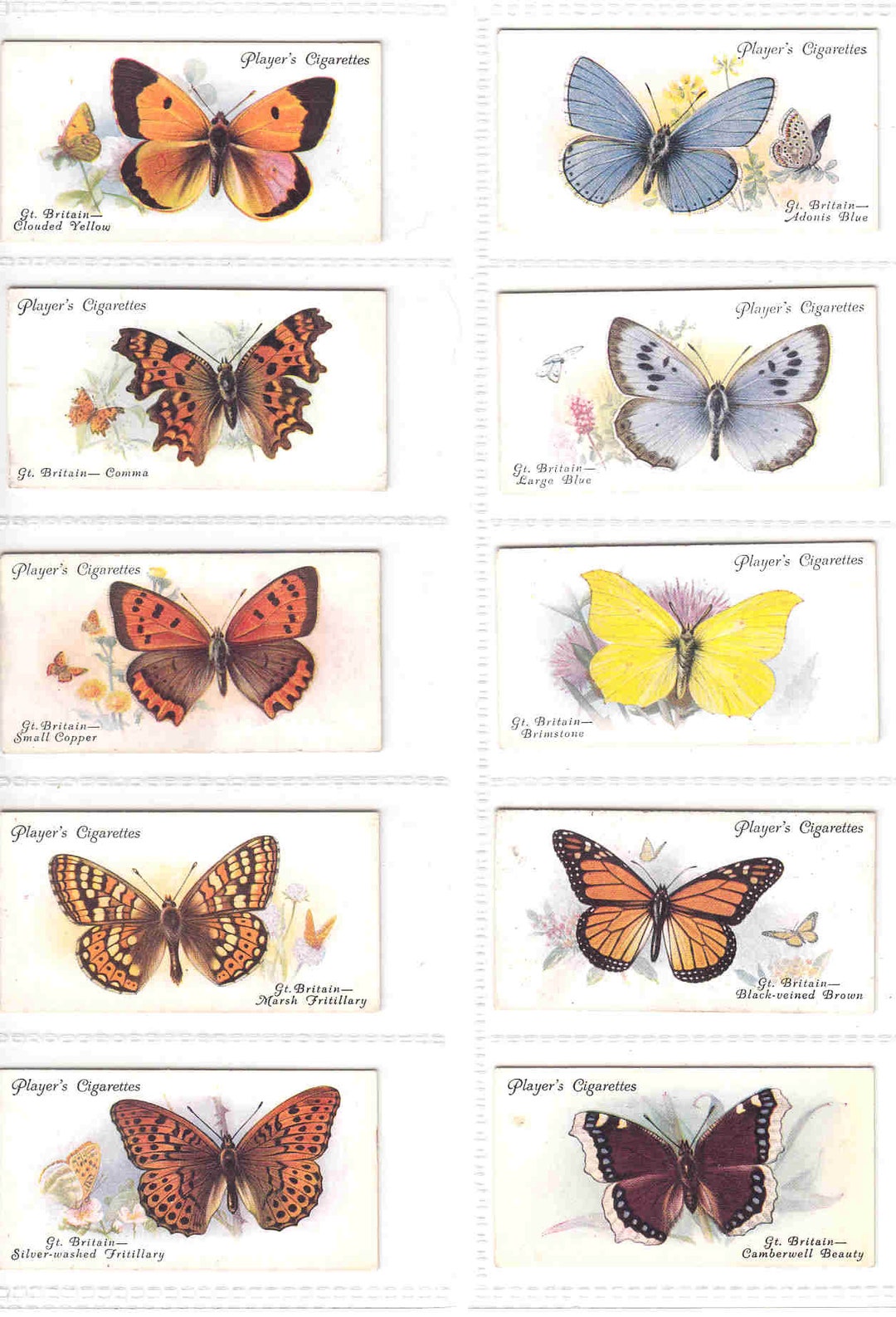 C1932 BUTTERFLIES Complete Set of 50x ORIGINAL Cigarette / Tobacco ...
