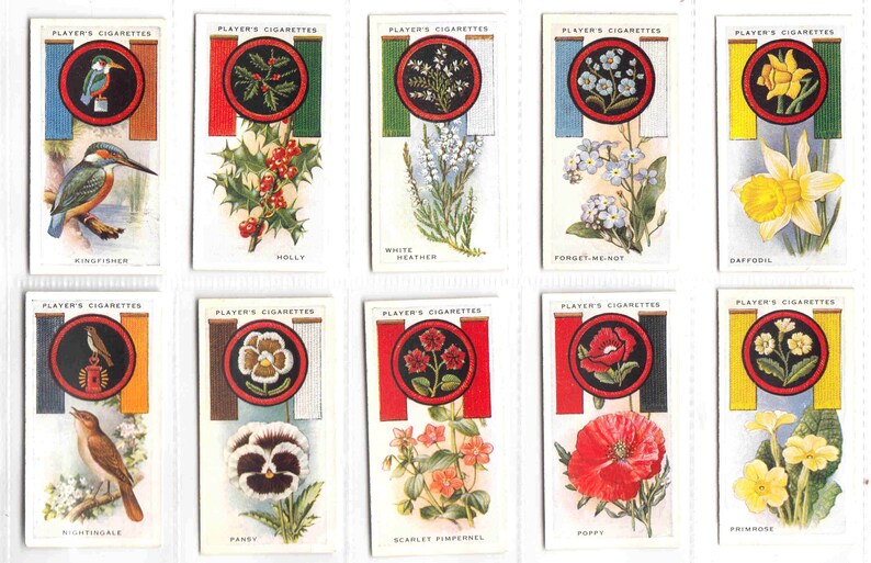 C1933 BOY SCOUT and Girl GUIDE Patrol Signs/emblems Complete | Etsy