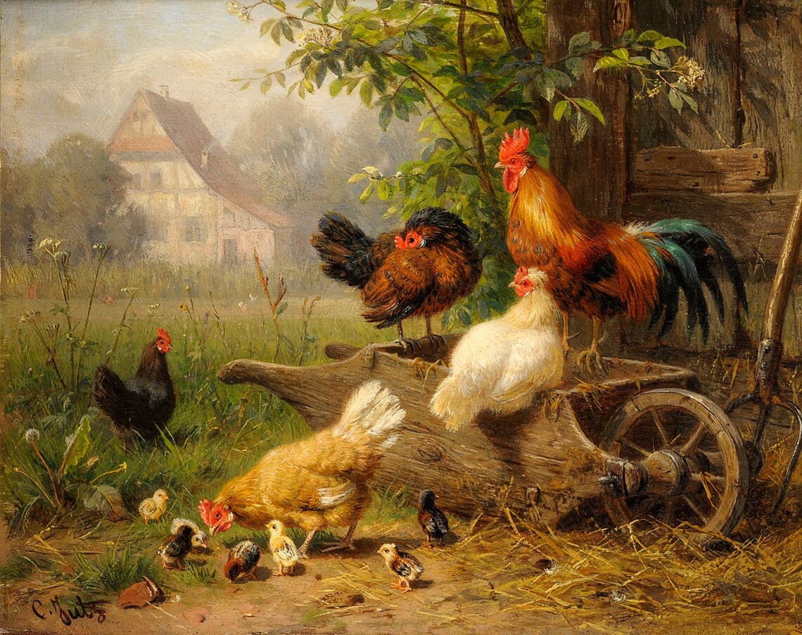 Keep Chickens Hens Ducks Geese Poultry 70x Book Scans And Prints Etsy