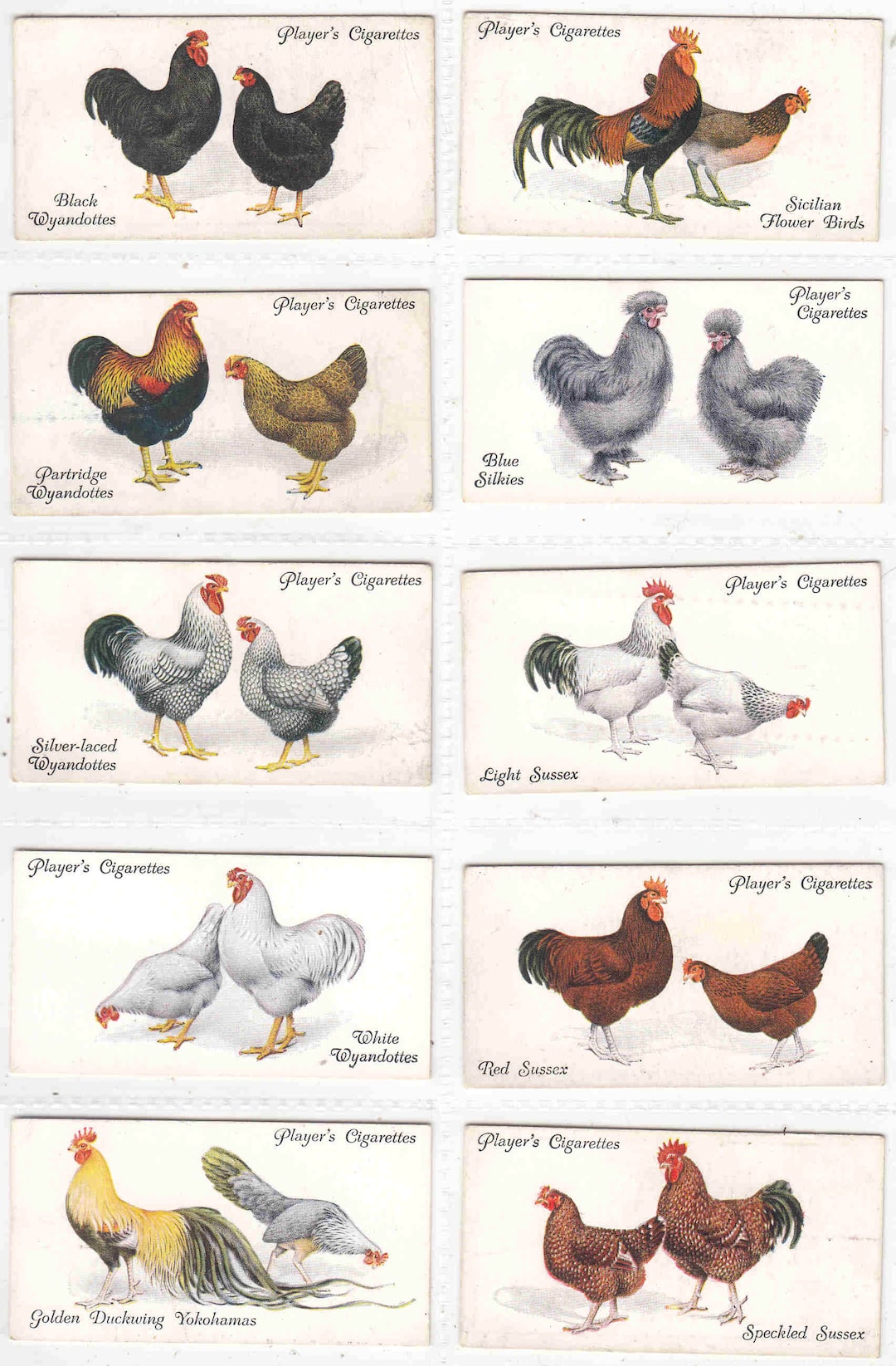 Original C1931 Set of 50x 'POULTRY' Cigarette / Tobacco Cards by ...