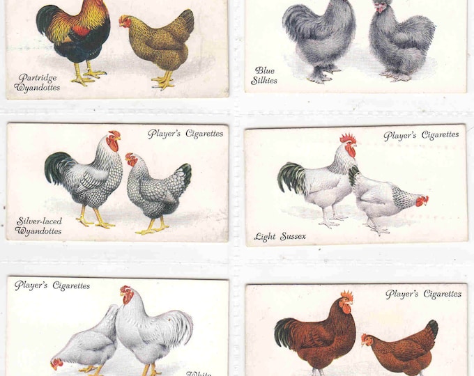 Poultry Cigarette Cards by John Player Set of 50 Issued in 1931 Nature ...