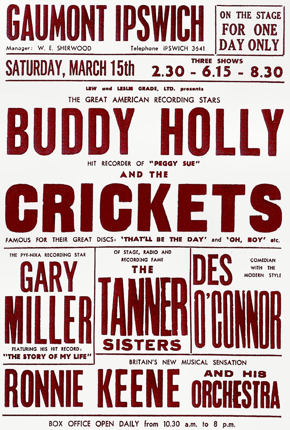 Print Your Own Vintage BUDDY HOLLY POSTERS 5x Pop Rock Music - Etsy