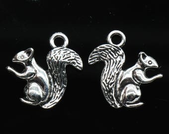 Squirrel charms | Etsy