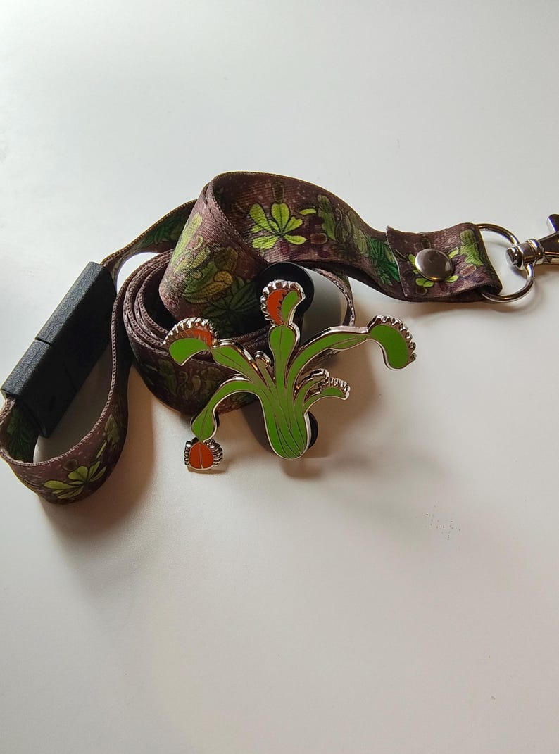 Carnivorous Plant Variety Venus Flytrap Pitcher Plant Sundew Butterwort ...