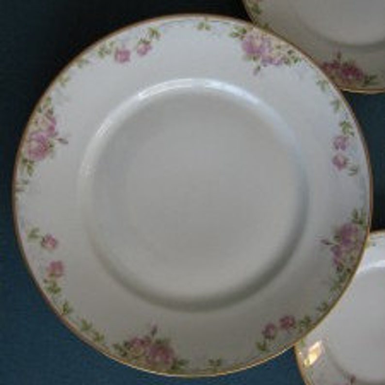 Antique Rosenthal Selb Bavaria Fine China Donatello Pattern 6 Piece ...