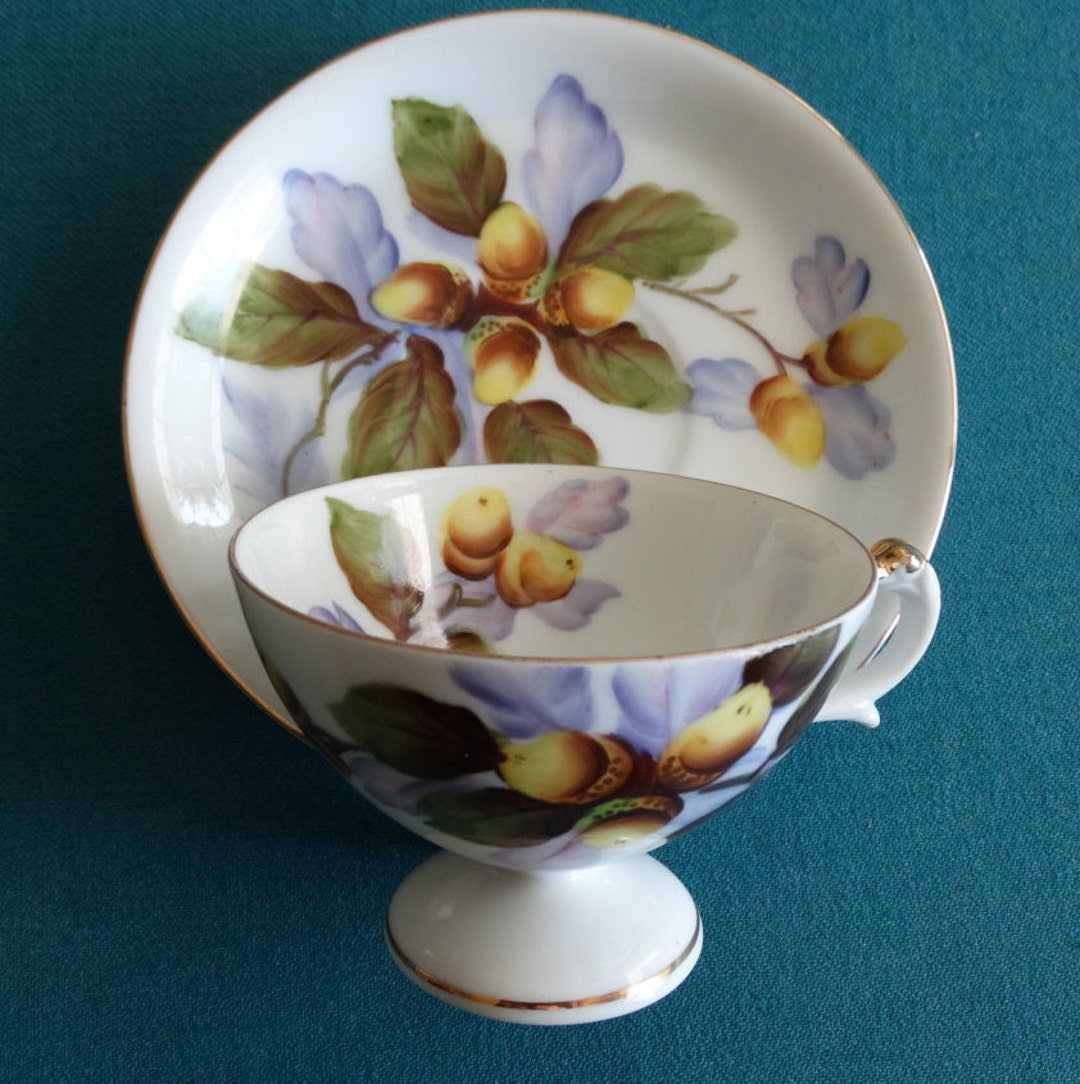 EW Princess China Tea Cup & Saucer Chestnuts Pattern EW-4591-A Japan - Etsy