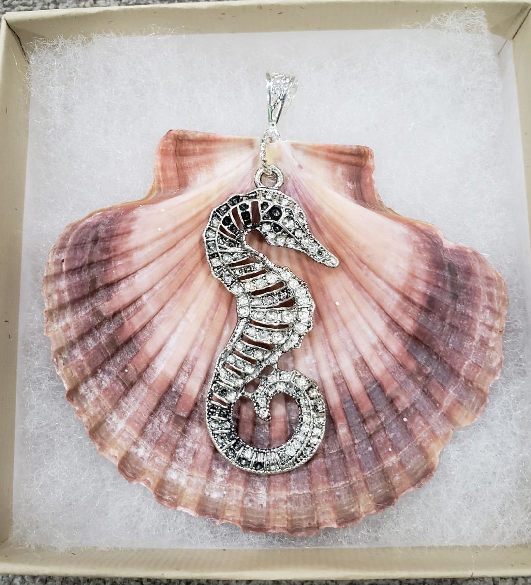 Mexican Flat Shell With Seahorse - Etsy