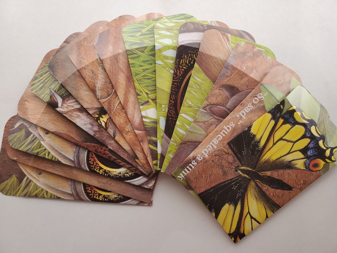 Seed Envelope Mailers From Children's Book Coin Envelope for Small ...