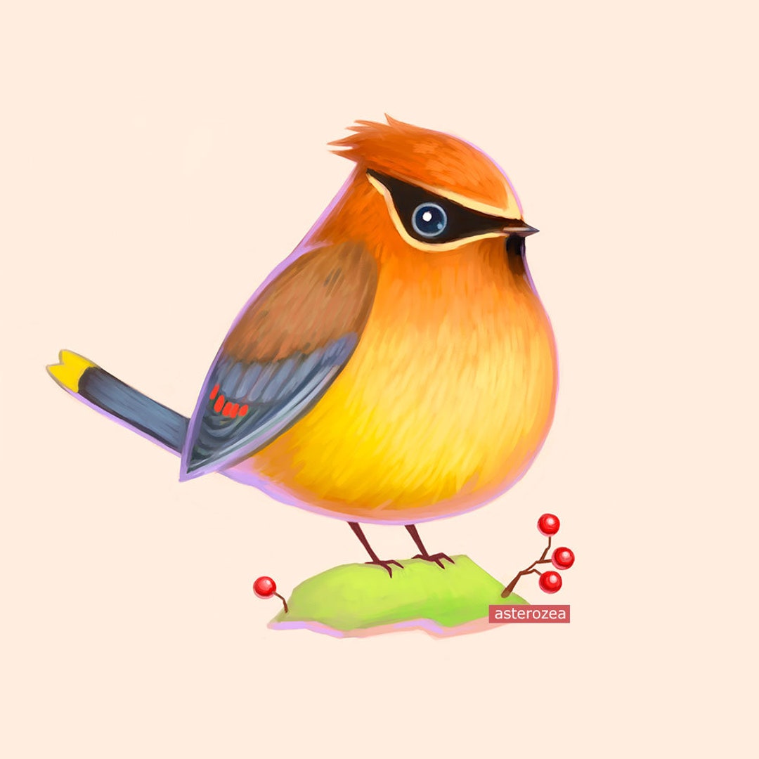Cedar Waxwing Bird Art - Cute Bird Print, Chubby Bird Painting, Bird ...