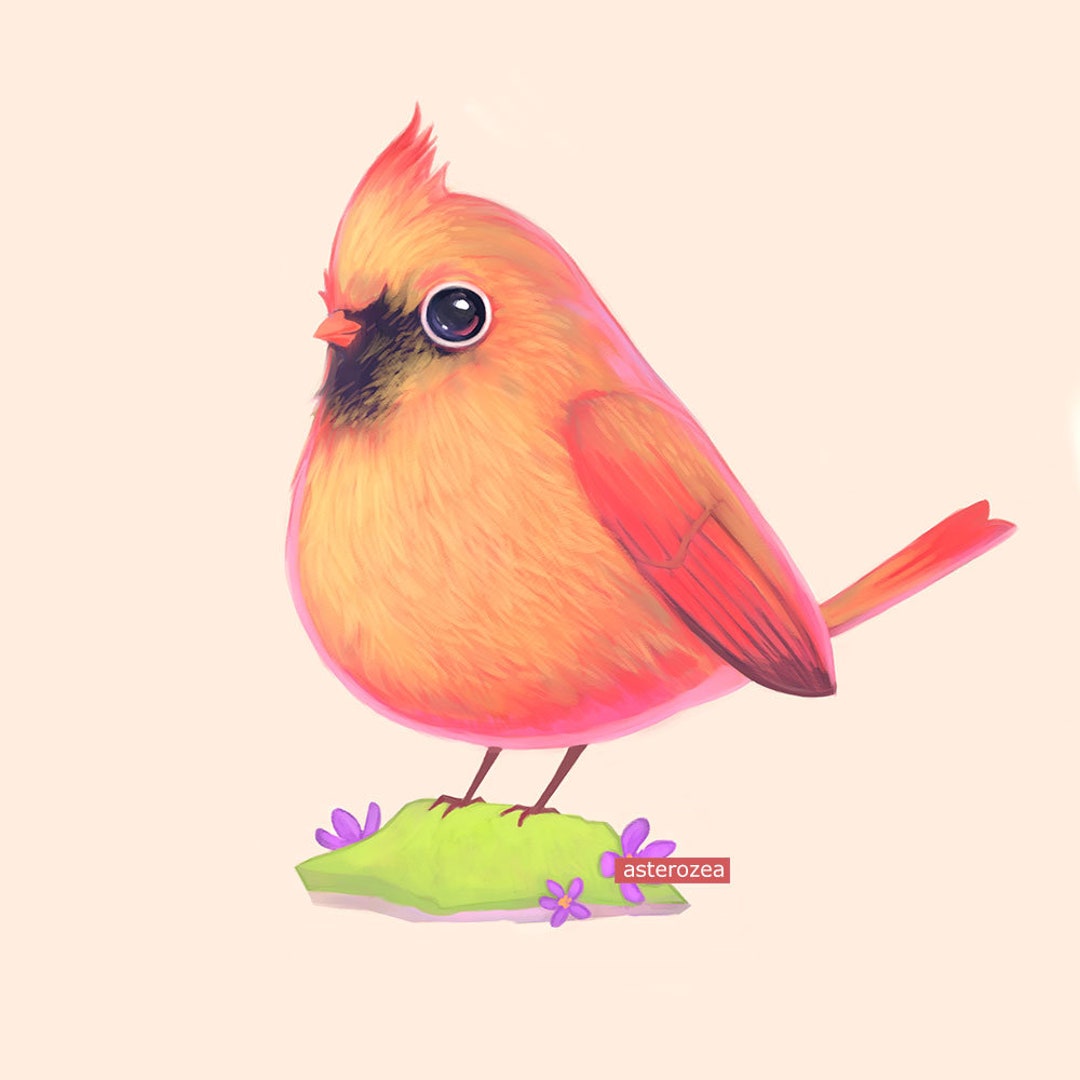 Cardinal Bird Art - Cute Bird Print, Chubby Bird Painting, Bird Lovers ...