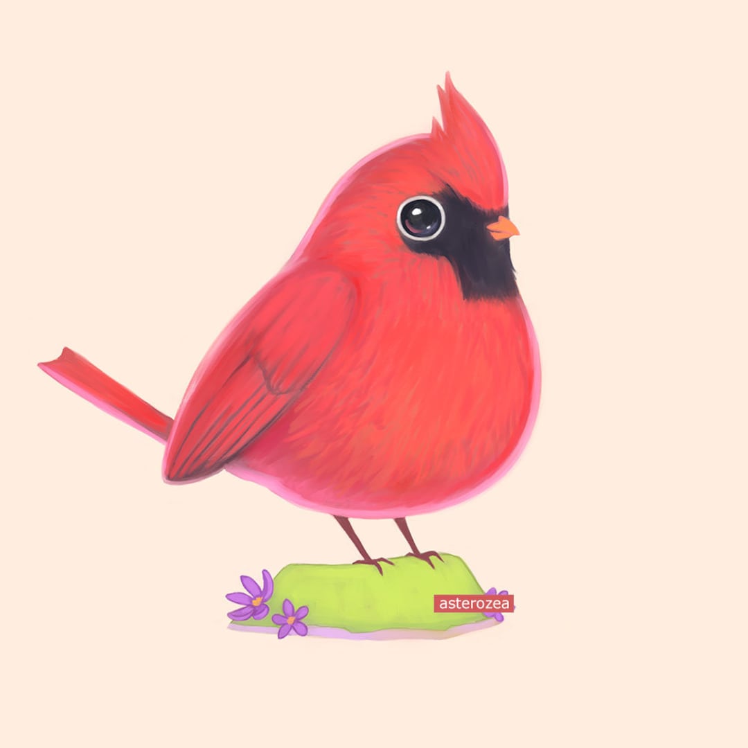 Cute Cardinal Drawing