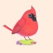Cardinal Bird Art - Cute Bird Print, Chubby Bird Painting, Bird Lovers ...