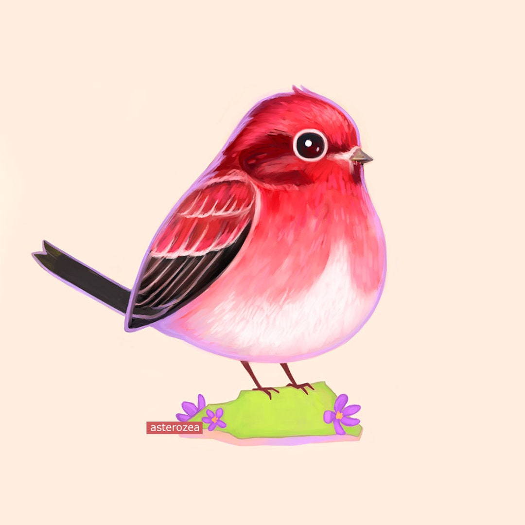 Purple Finch Bird Art - Cute Bird Print, Chubby Bird Painting, Bird ...