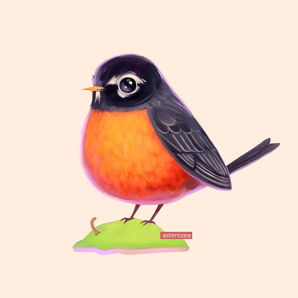 American Robin Bird Art Cute Bird Print Chubby Bird - Etsy