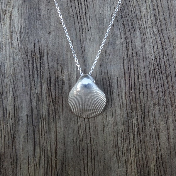 Seashell Pendant - Etsy