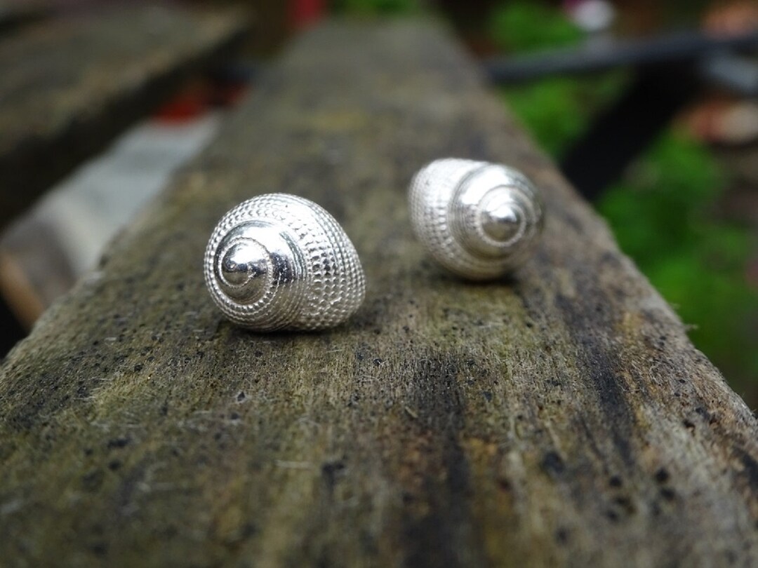 Sterling Silver Sea Snail Shell Stud Earrings - Etsy