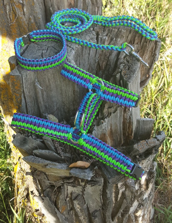 Paracord Dog Harness With Matching Dog Collar Leash 550 Etsy