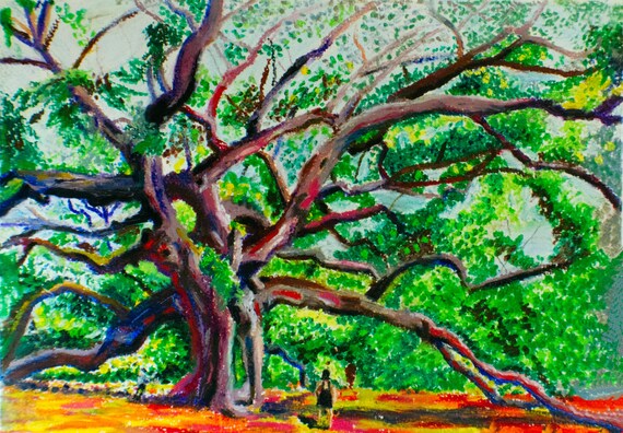 Print Angel Oak Tree 13 X 19 | Etsy