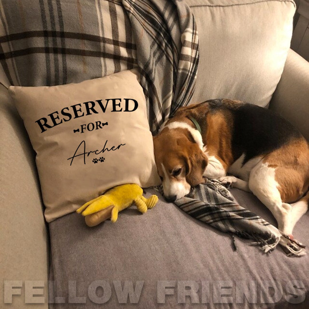 Personalized Dog Pillow, Custom Reserved for the Dog Cushion ...