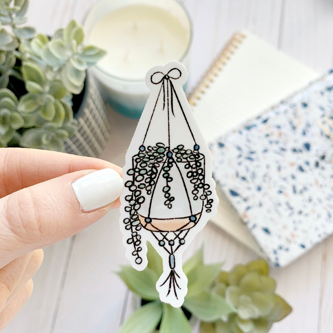Watercolor Hanging Plant Sticker, 3x1.25in. - Etsy
