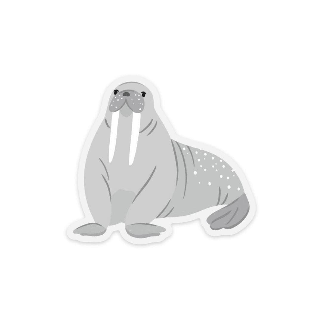 Clear Walrus Sticker, 3.1×2.77in. - Etsy