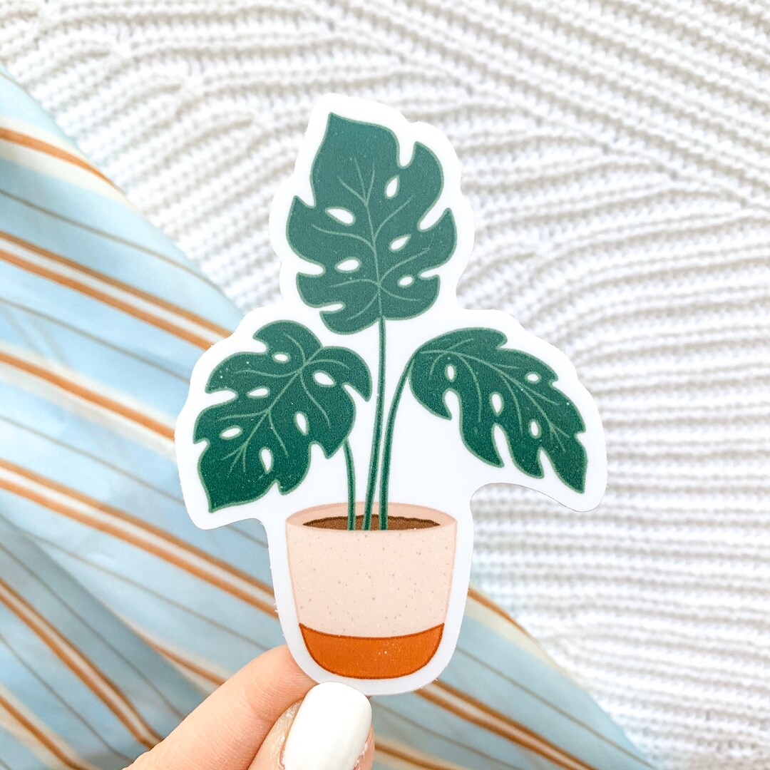 Potted Monstera Plant Sticker, 3.5x2.5in. - Etsy