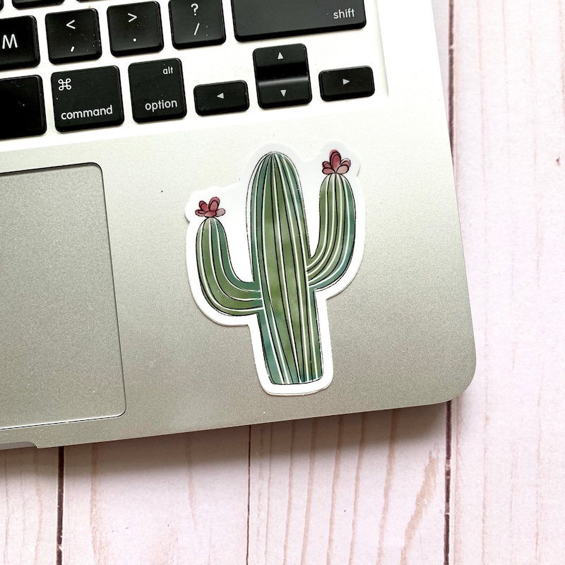Cactus Stickers - Etsy