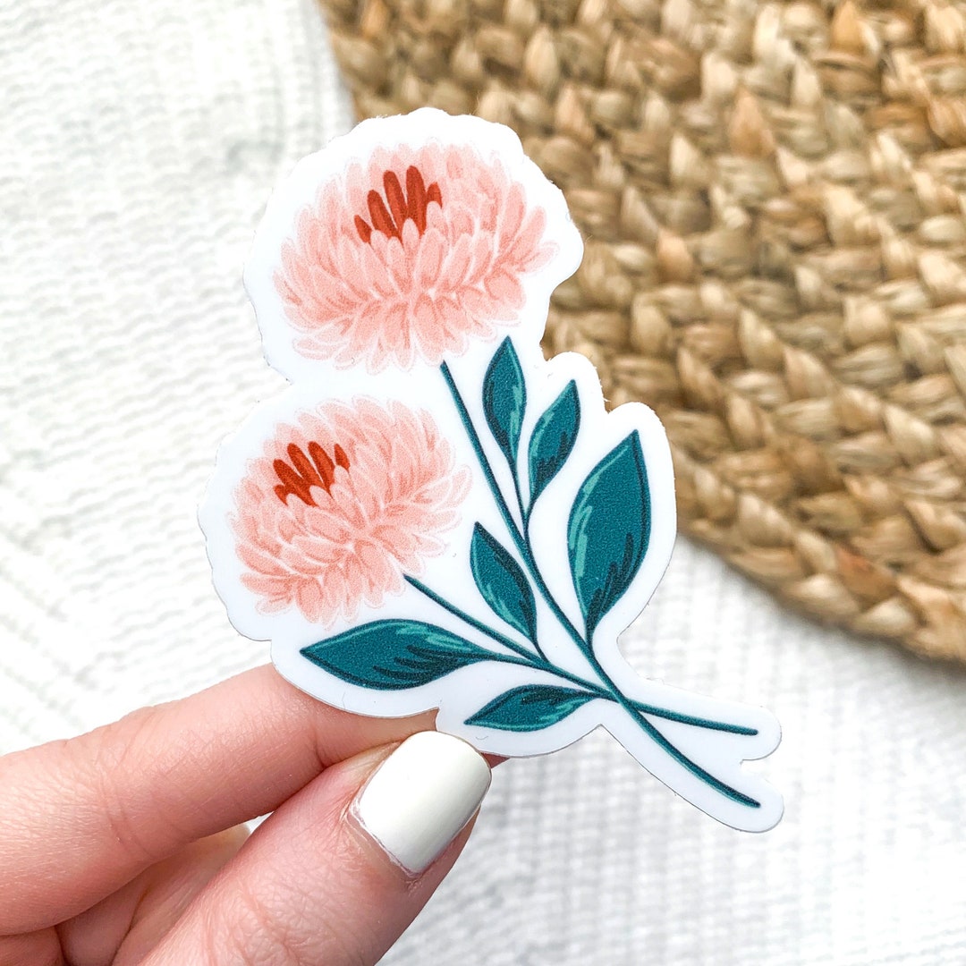 Pink Chrysanthemums Sticker, 3.25x2.25in. - Etsy