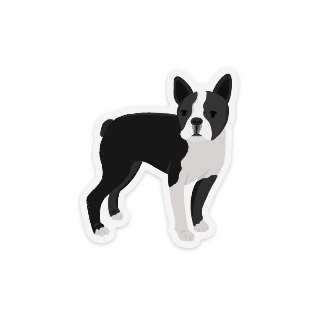 Clear Boston Terrier Sticker, 2.46×2.8in. - Etsy