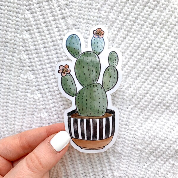 Cactus Sticker - Etsy