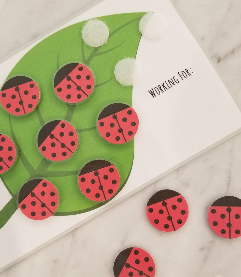 Lady Bug Reward Chart/token Board - Ready to Ship - Etsy