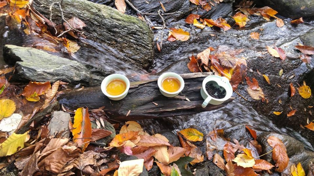 Liquid Proust Adventure in A Box - Etsy