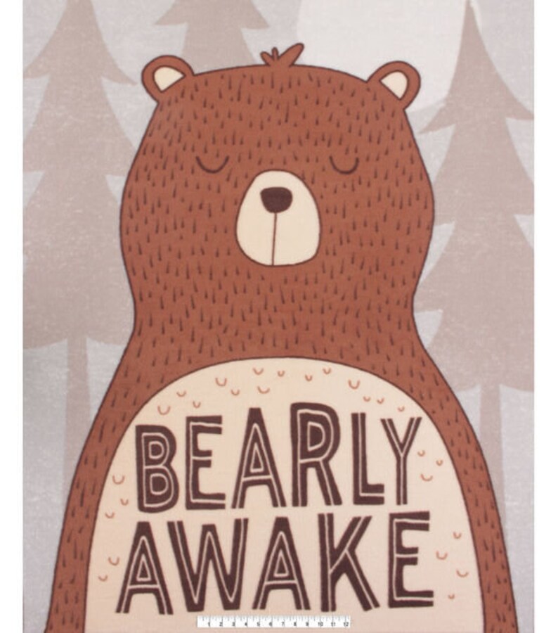 Fleece Blanket, Bearly Awake Fleece Bo Blanket, Bear Fleece, Boy ...