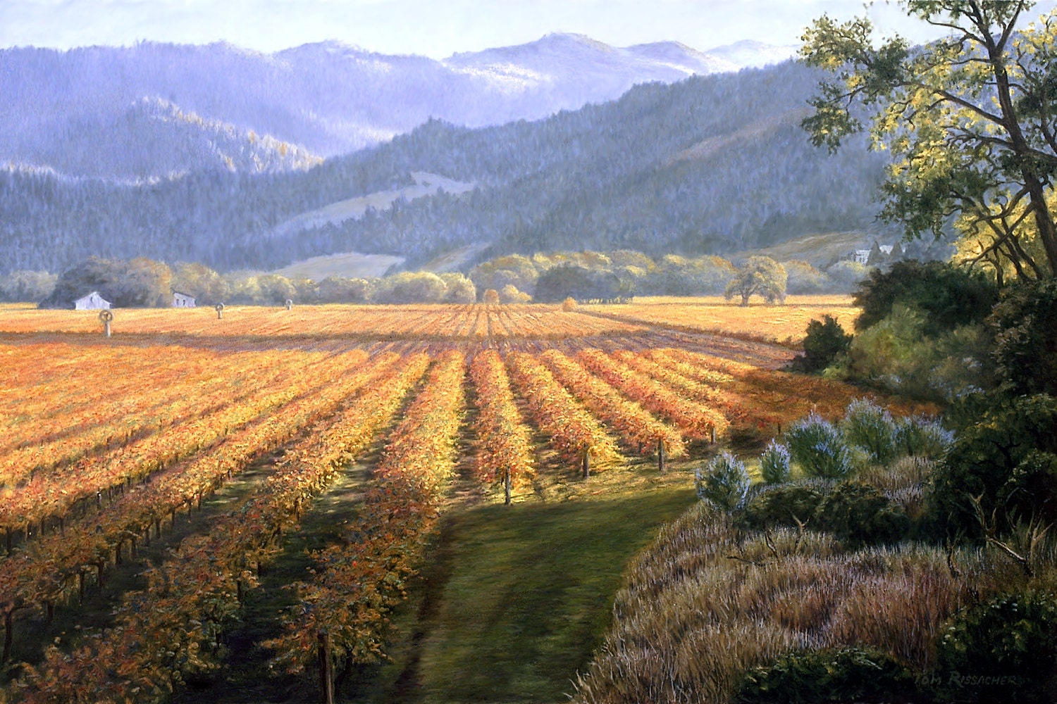 Upper Napa Valley Print, Vineyard Paintings, California Scenery, Wine ...